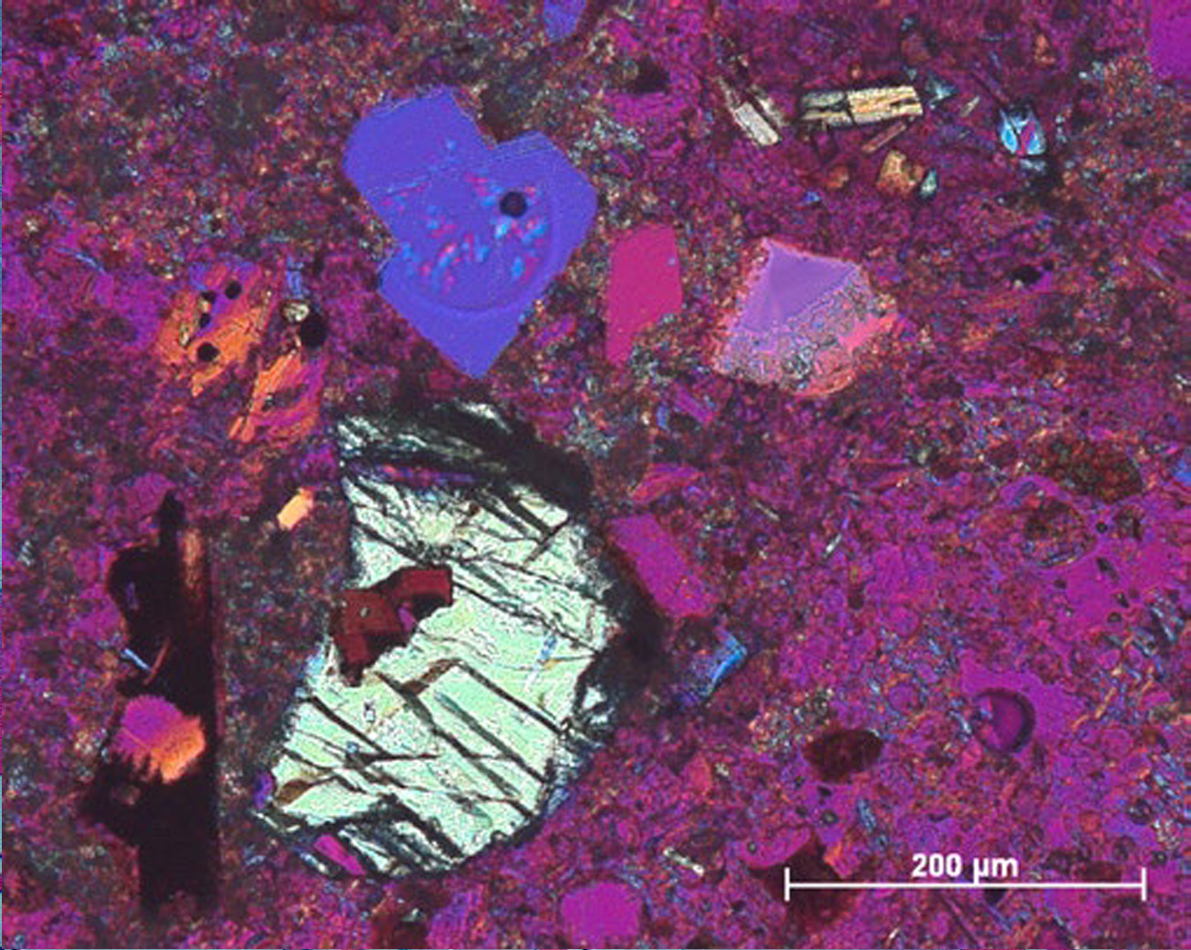 Optical microscopy – CEZA EN